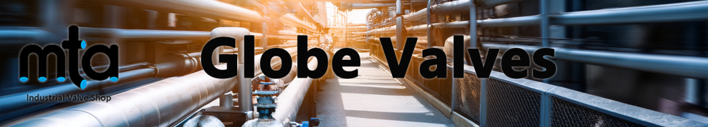 Globe Valves | MTA Process Components